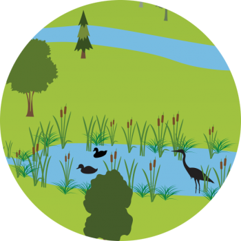 Natural Heritage – Green Infrastructure Ontario