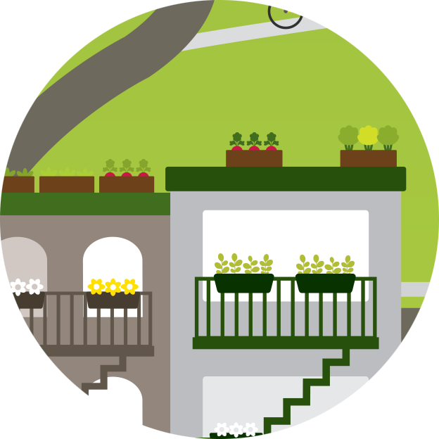 Green Roofs – Green Infrastructure Ontario